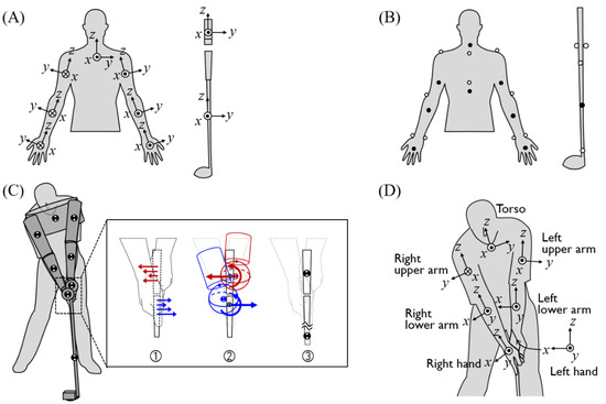 Three Dimensional Upper Limb Joint Kinetics of a Golf Swing with ...