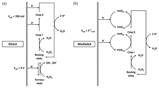 Electrochemical Biosensors Employing Natural and Artificial Heme ...