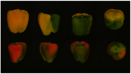 Viewpoint Analysis for Maturity Classification of Sweet Peppers
