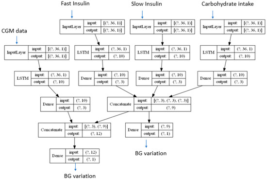 Sensors | Free Full-Text | Deep Physiological Model for Blood Glucose ...