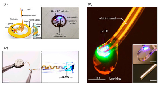Optical Waveguides and Integrated Optical Devices for Medical Diagnosis ...