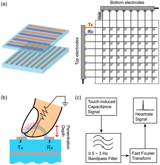 Capacitive Heart-Rate Sensing on Touch Screen Panel with Laterally ...