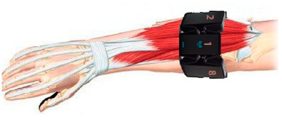 A Novel Surface Electromyographic Signal-Based Hand Gesture Prediction ...