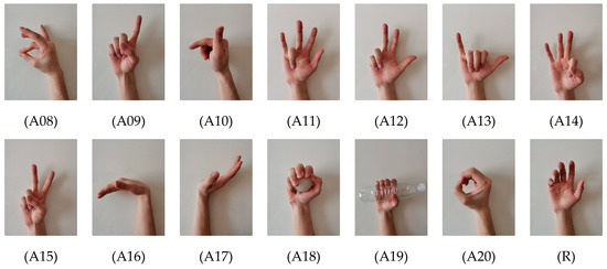 A Novel Surface Electromyographic Signal-Based Hand Gesture Prediction ...