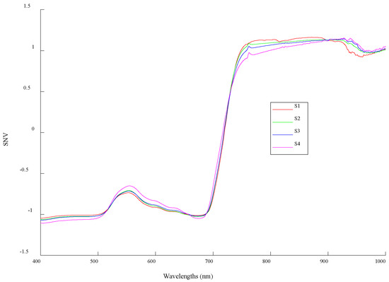 Growth Stages Classification of Potato Crop Based on Analysis of ...