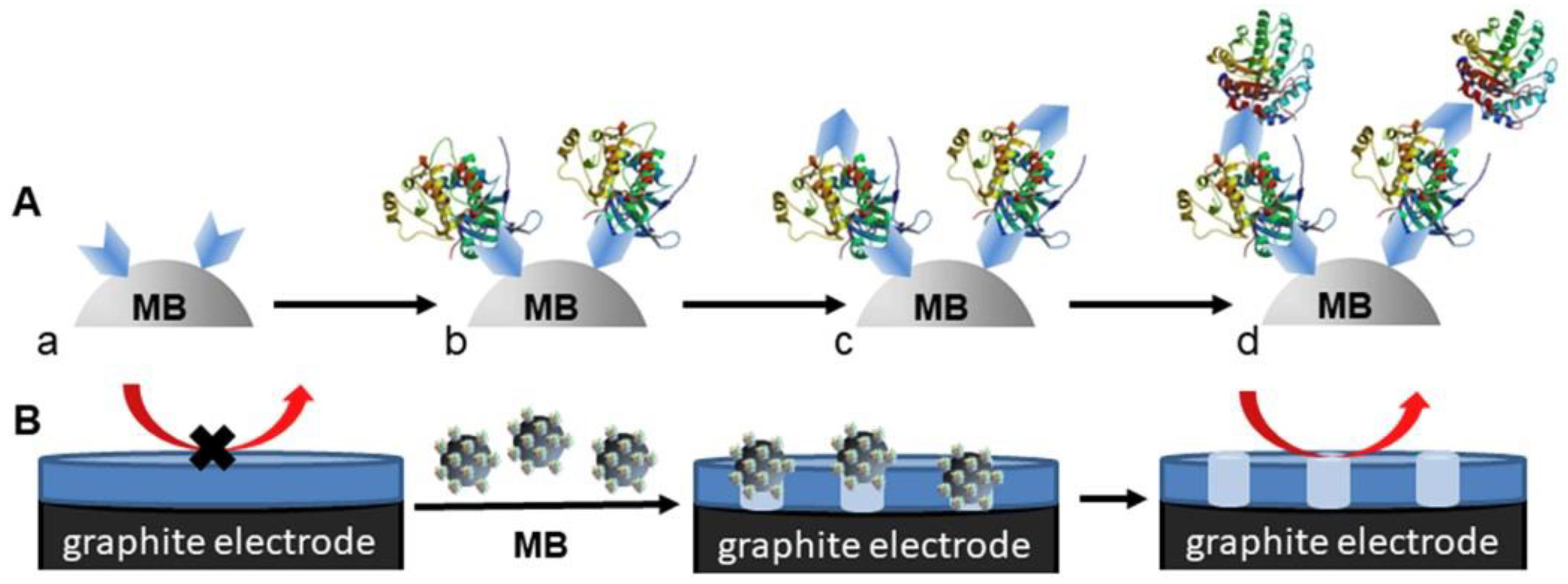 Sensors | Free Full-Text | Electrochemical Nanobiosensors for Detection ...