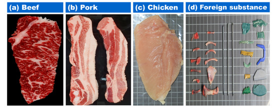 Non-Destructive Detection of Bone Fragments Embedded in Meat Using ...