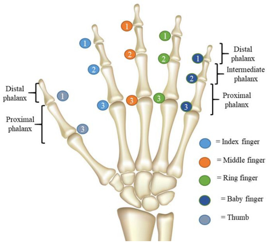 3D Printed Robot Hand Structure Using Four-Bar Linkage Mechanism for ...