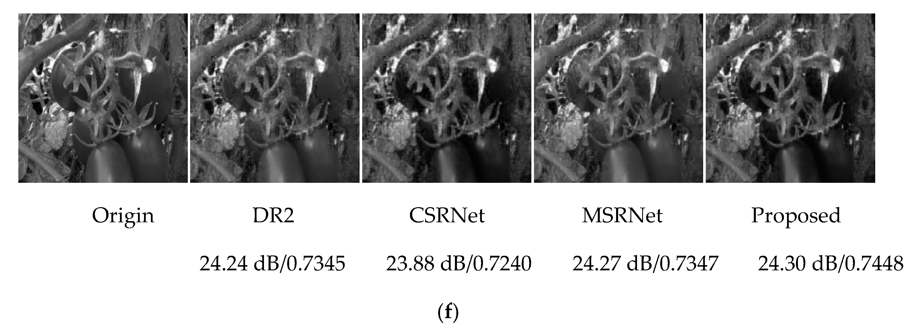 Research on Image Reconstruction of Compressed Sensing Based on a Multi ...
