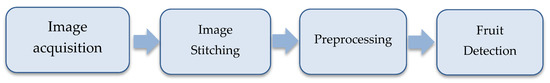 Vision System for Automatic On-Tree Kiwifruit Counting and Yield Estimation