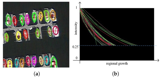 Field Network—A New Method to Detect Directional Object