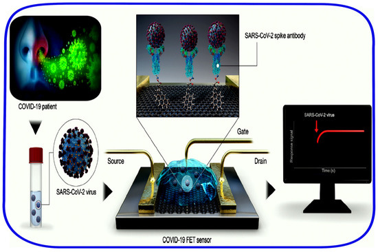 Sensors | Special Issue : Detection and Diagnosis of the New Coronavirus