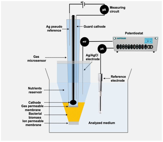 Ion Selective Amperometric Biosensors for Environmental Analysis of ...
