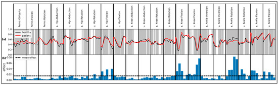Interpretability of Input Representations for Gait Classification in Patients after Total Hip ...