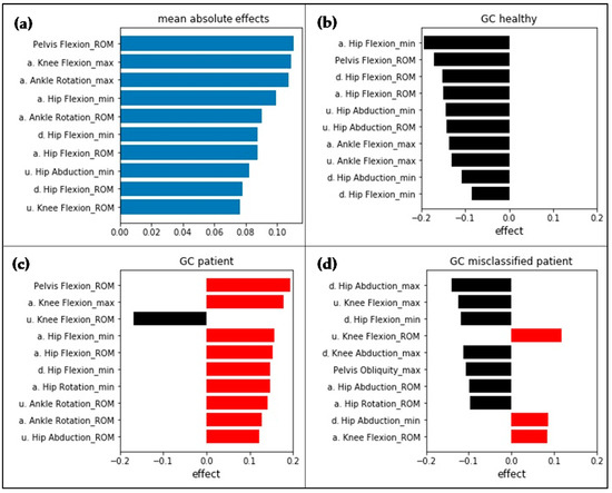 Interpretability of Input Representations for Gait Classification in Patients after Total Hip ...