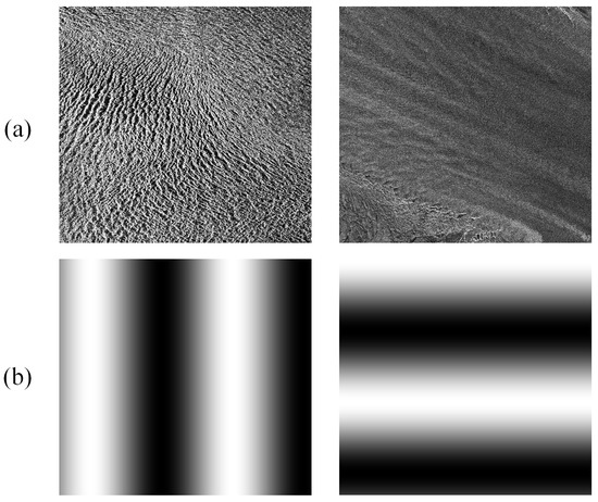 Glacier Surface Motion Estimation from SAR Intensity Images Based on ...