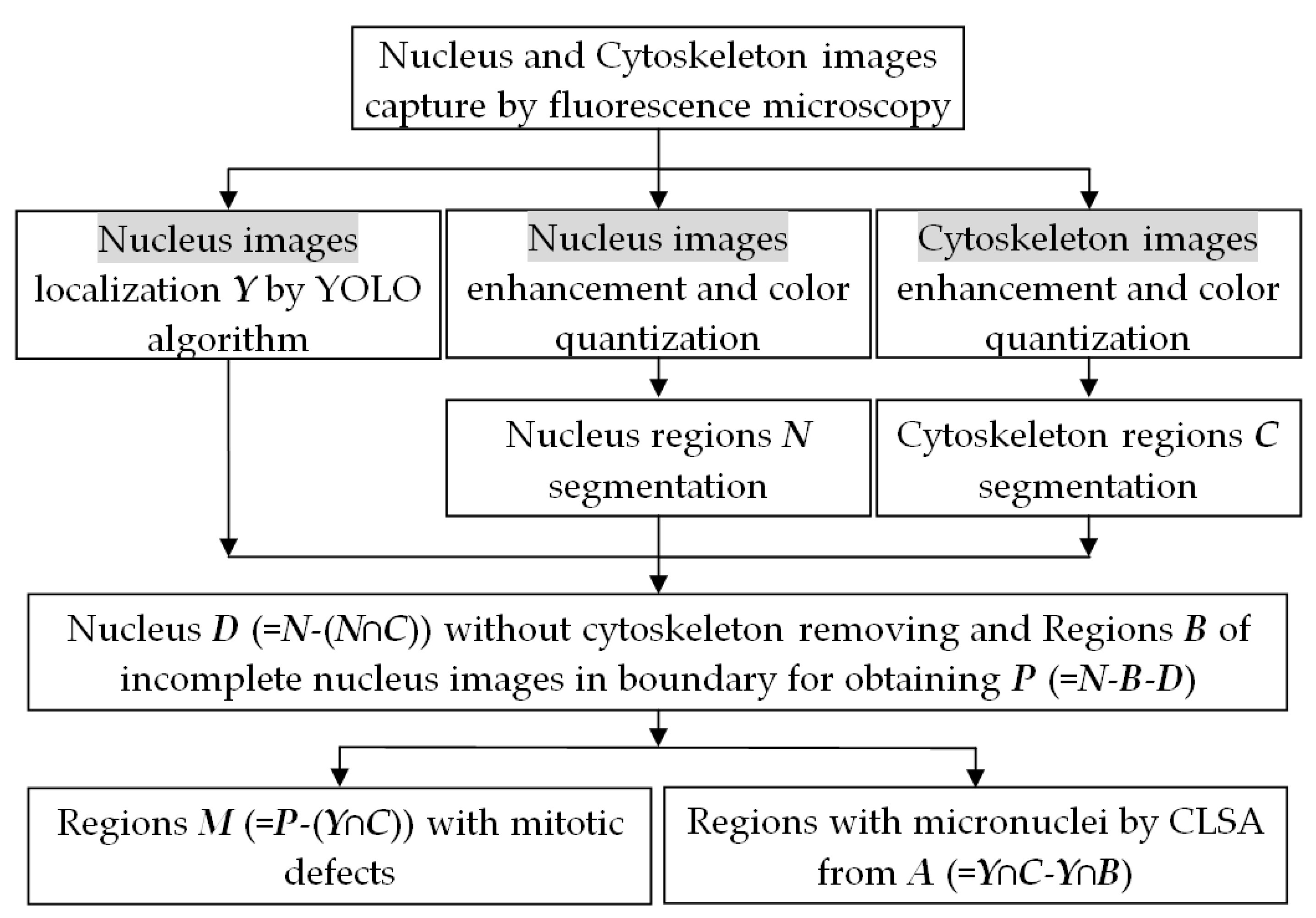 Automatic Detection Method for Cancer Cell Nucleus Image Based on Deep ...