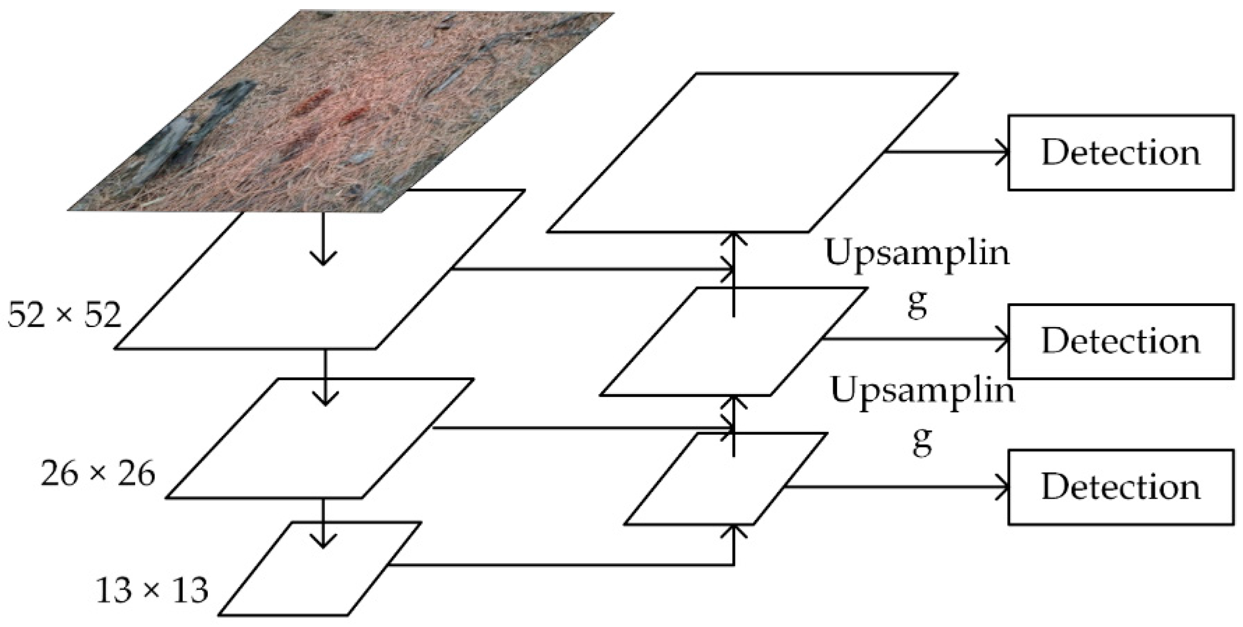 Pine Cone Detection Using Boundary Equilibrium Generative Adversarial Networks and Improved ...