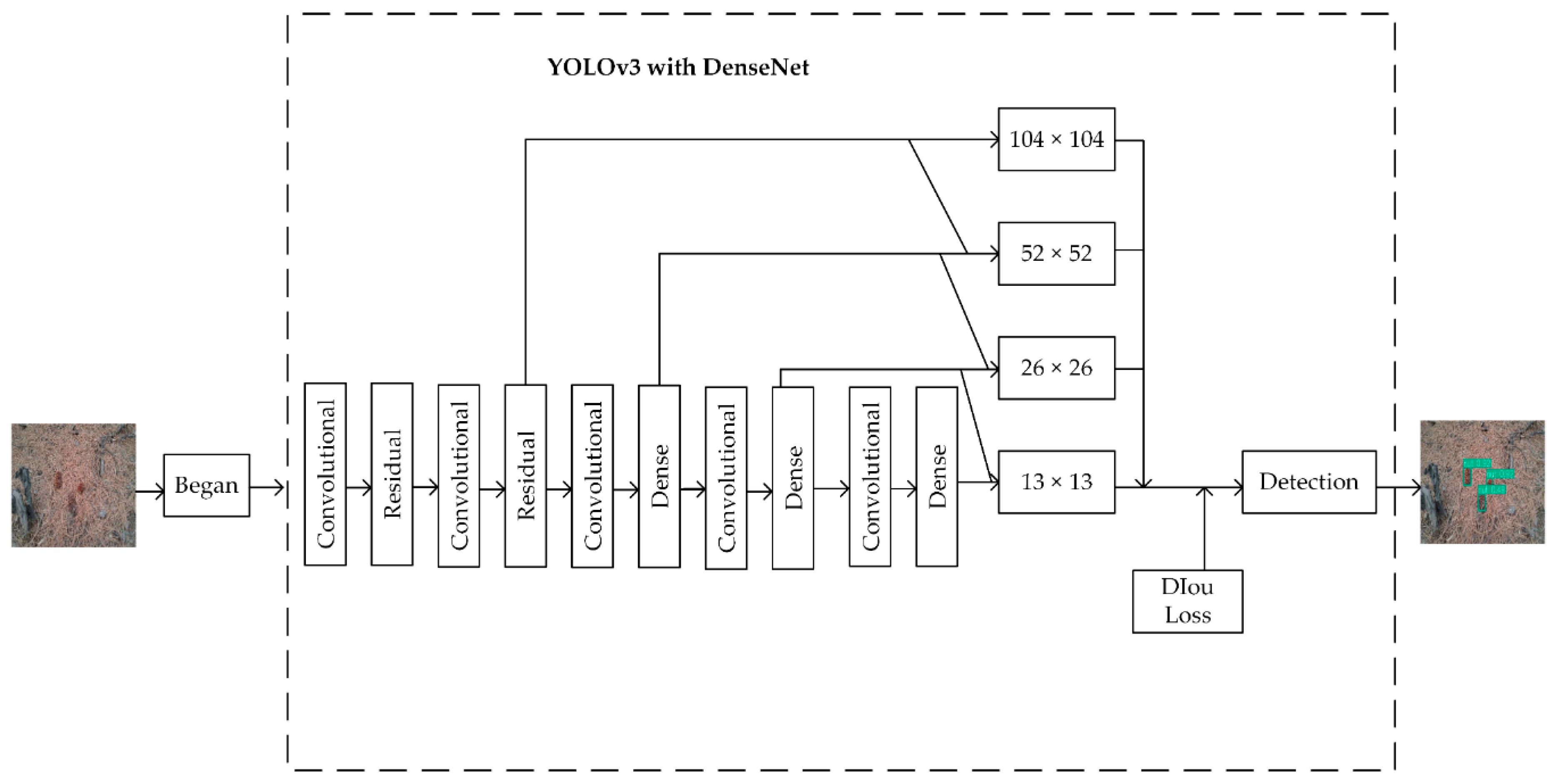 Pine Cone Detection Using Boundary Equilibrium Generative Adversarial Networks and Improved ...