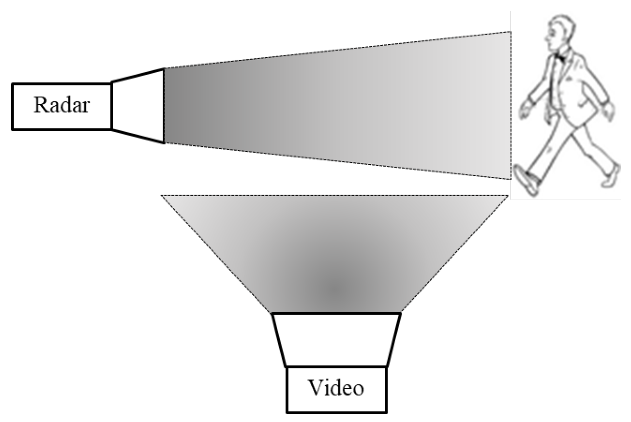 Time-Frequency Spectral Signature of Limb Movements and Height ...
