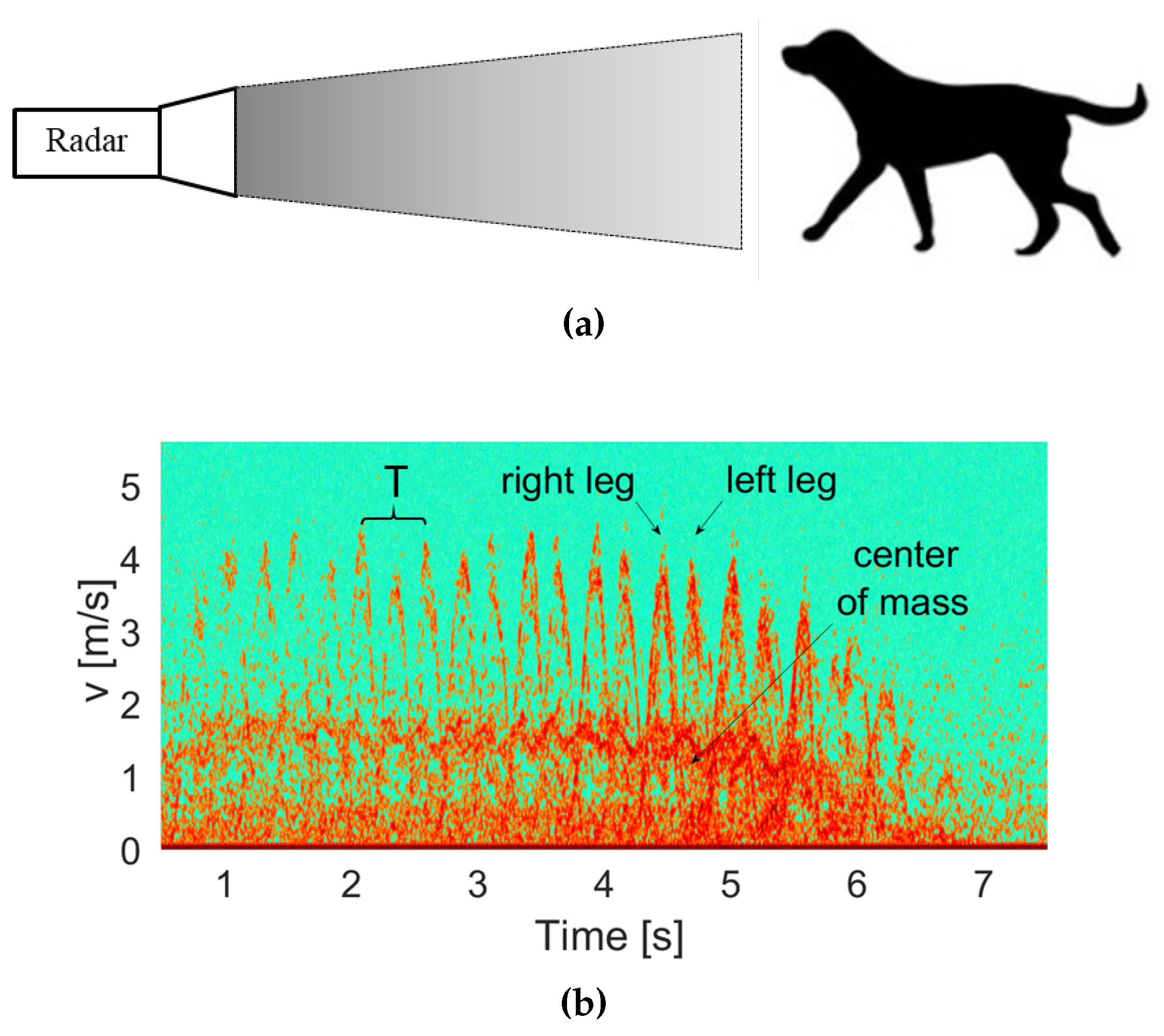 Time-Frequency Spectral Signature of Limb Movements and Height ...
