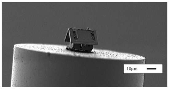 Lab-On-Fiber Technology: A Roadmap toward Multifunctional Plug and Play ...