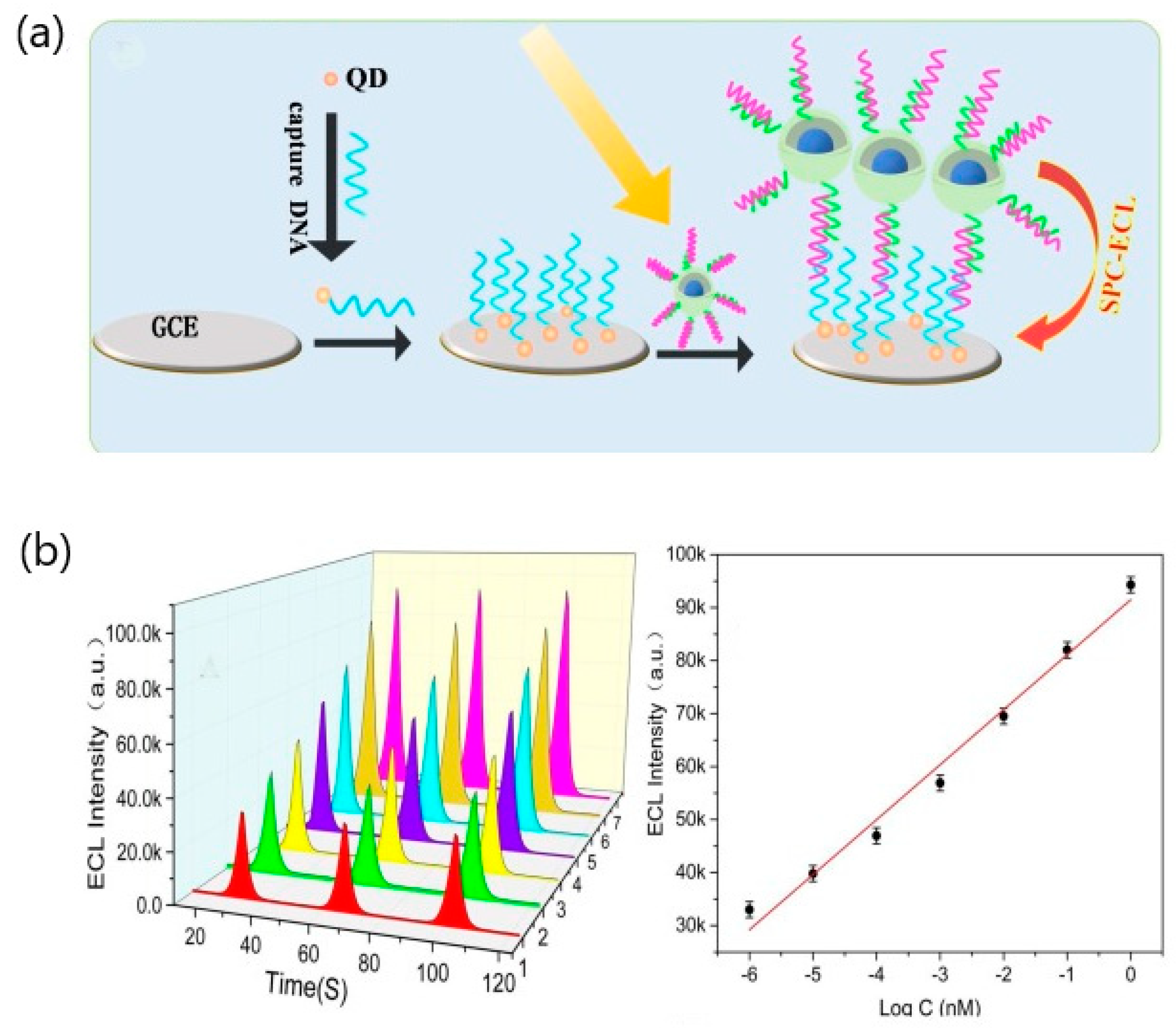 Recent Progress in Plasmonic Biosensing Schemes for Virus Detection