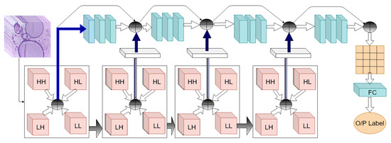 Spectral–Spatial Features Integrated Convolution Neural Network for ...