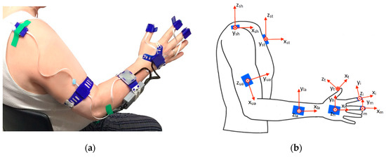 Sensors Free Full Text Assessment Of Upper Limb Movement