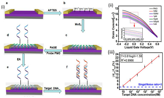 Non-Carbon 2D Materials-Based Field-Effect Transistor Biosensors ...