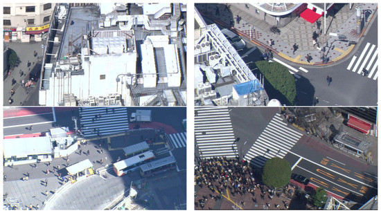 Crowd Counting with Semantic Scene Segmentation in Helicopter Footage