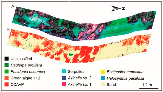 Underwater Hyperspectral Imaging Technology and Its Applications for ...