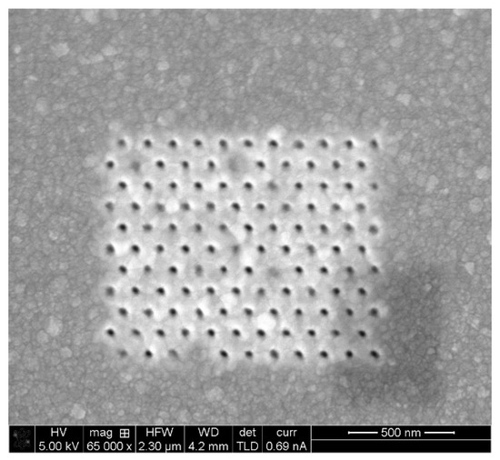 Design of Surface Enhanced Raman Scattering (SERS) Nanosensor Array
