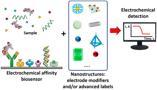 Electrochemical Affinity Biosensors Based on Selected Nanostructures ...
