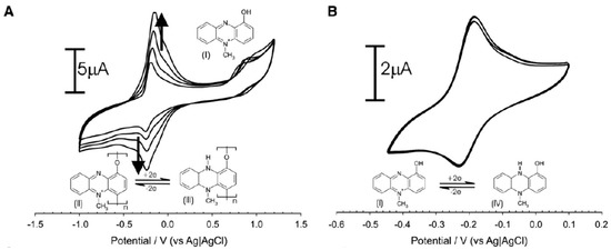 Electrochemical Detection of Pyocyanin as a Biomarker for Pseudomonas ...