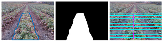 Autonomous Crop Row Guidance Using Adaptive Multi-ROI in Strawberry Fields