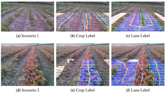 Autonomous Crop Row Guidance Using Adaptive Multi-ROI in Strawberry Fields