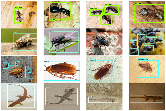 Remote Insects Trap Monitoring System Using Deep Learning Framework and IoT