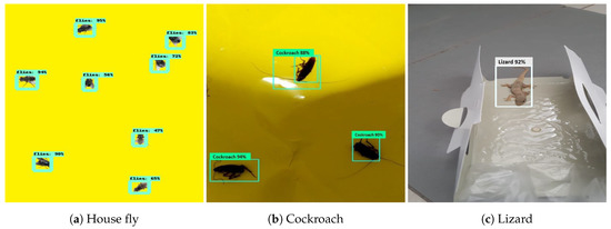 Sensors | Free Full-Text | Remote Insects Trap Monitoring System Using Deep Learning Framework ...