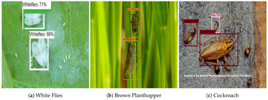 Sensors | Free Full-Text | Remote Insects Trap Monitoring System Using ...