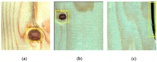 Detecting Defects on Solid Wood Panels Based on an Improved SSD Algorithm