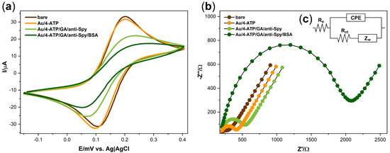Antibody Modified Gold Electrode as an Impedimetric Biosensor for the ...