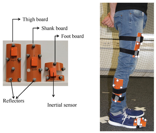 Novel Multi-IMU Tight Coupling Pedestrian Localization Exploiting Biomechanical Motion Constraints