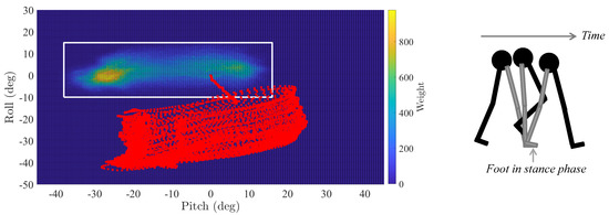 Novel Multi-IMU Tight Coupling Pedestrian Localization Exploiting Biomechanical Motion Constraints