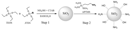 Functionalized Fluorescent Silica Nanoparticles for Bioimaging of ...
