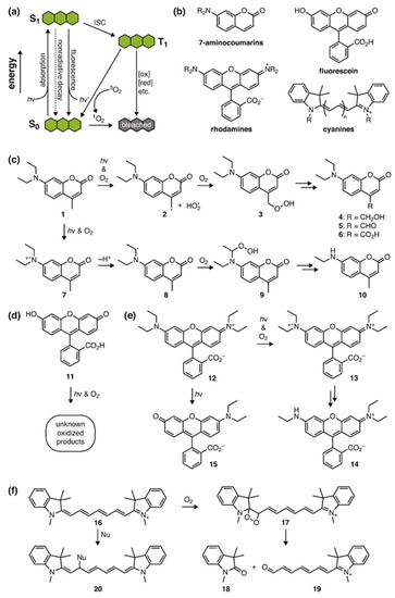 A Review of Endogenous and Exogenous Contrast Agents Used in Photoacoustic Tomography with ...