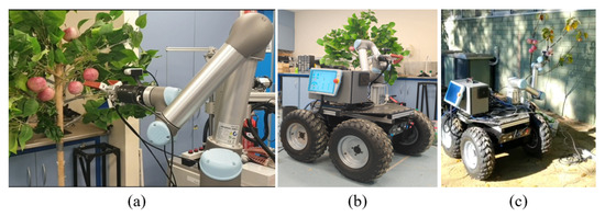 Real-Time Fruit Recognition and Grasping Estimation for Robotic Apple Harvesting