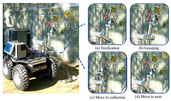 Real-Time Fruit Recognition and Grasping Estimation for Robotic Apple Harvesting