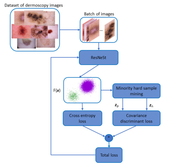 Sensors | Free Full-Text | Effective Melanoma Recognition Using Deep ...