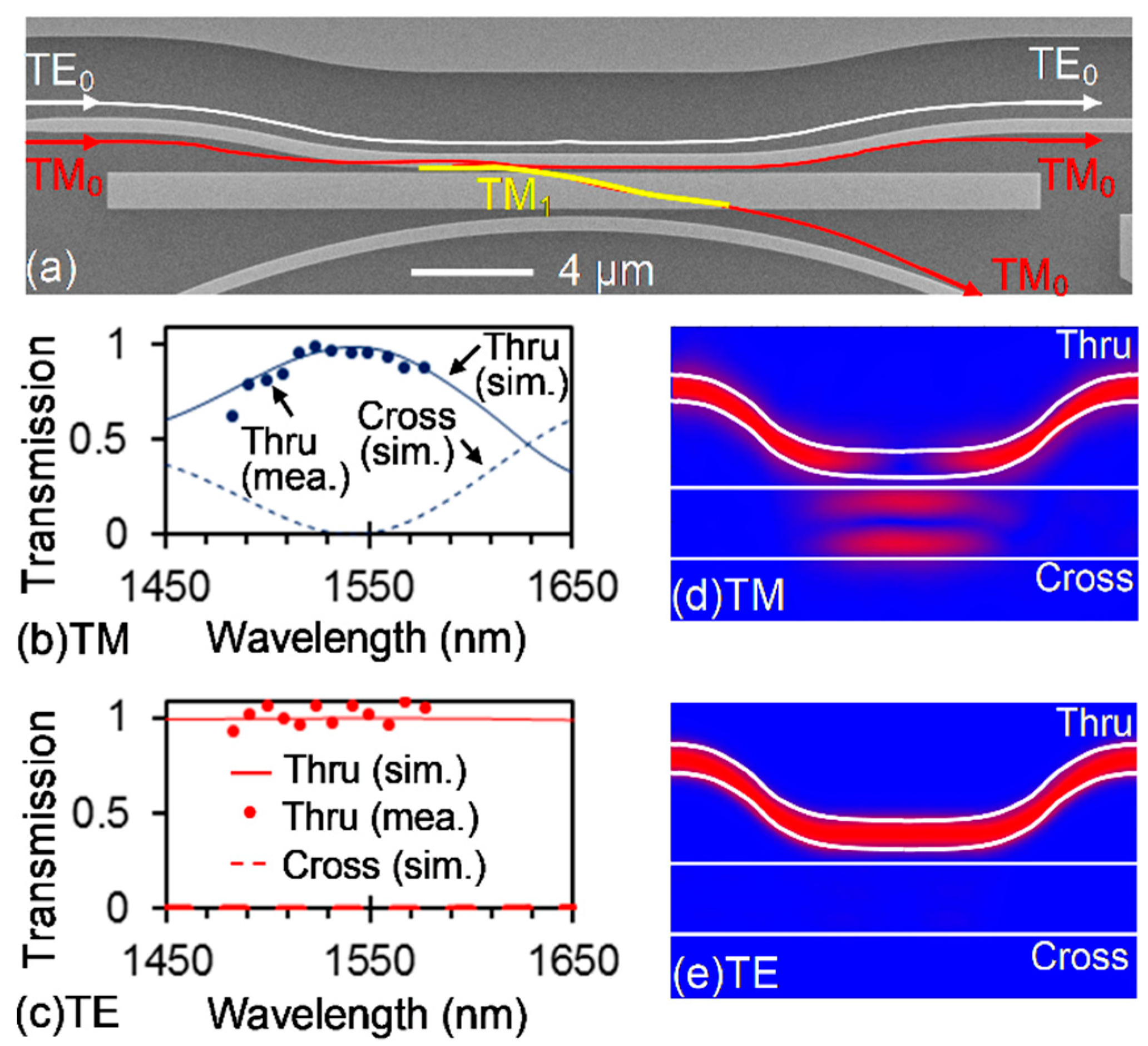 Silicon Photonic Polarization Multiplexing Sensor with Both Large Range ...